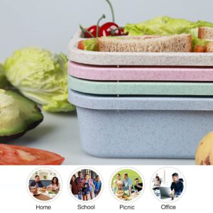 shopwithgreen 3 Pack Salad Food Storage Container + 8 Pack Bento Lunch Box, Food Prep Storage Containers with Lids, Reusable Microwave and Dishwasher Safe for School Work Travel Camp, BPA Free…