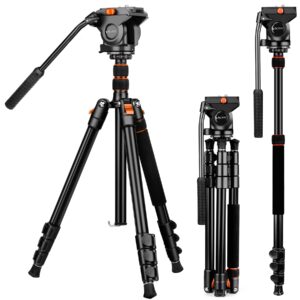 camera tripod fluid head, heavy duty camera tripod stand 72", professional video tripod for canon nikon dslr cameras camcorders, aluminum tripod stand with carry bag, complete tripod units