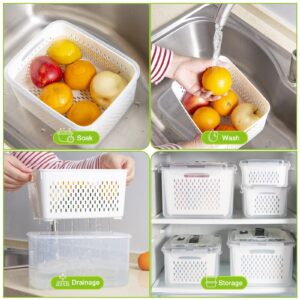 LUXEAR 5PCS Fruit Storage Containers For Fridge, Produce Vegetable Saver Container with Lid Colander Vent Handle, BPA-Free Refrigerator Microwave Dishwasher Safe, Keep Fruits Veggie Food Meat Fresh