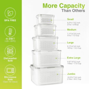 LUXEAR 5PCS Fruit Storage Containers For Fridge, Produce Vegetable Saver Container with Lid Colander Vent Handle, BPA-Free Refrigerator Microwave Dishwasher Safe, Keep Fruits Veggie Food Meat Fresh