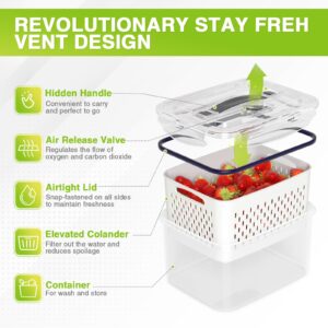 LUXEAR 5PCS Fruit Storage Containers For Fridge, Produce Vegetable Saver Container with Lid Colander Vent Handle, BPA-Free Refrigerator Microwave Dishwasher Safe, Keep Fruits Veggie Food Meat Fresh