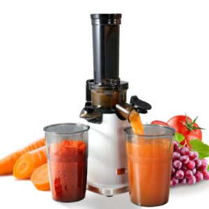 vevor masticating juicer, cold press juicer machine, juice extractor maker with high juice yield, easy to clean with brush, for high nutrient fruits vegetables (mini)