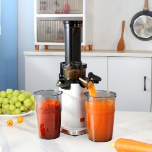 VEVOR Masticating Juicer, Cold Press Juicer Machine, Juice Extractor Maker with High Juice Yield, Easy to Clean with Brush, for High Nutrient Fruits Vegetables (Mini)