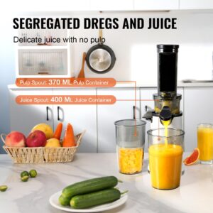 VEVOR Masticating Juicer, Cold Press Juicer Machine, Juice Extractor Maker with High Juice Yield, Easy to Clean with Brush, for High Nutrient Fruits Vegetables (Mini)