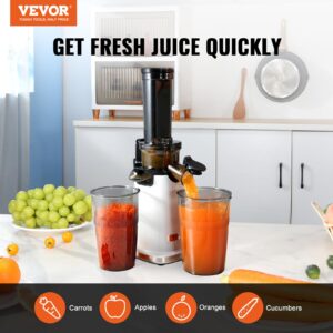 VEVOR Masticating Juicer, Cold Press Juicer Machine, Juice Extractor Maker with High Juice Yield, Easy to Clean with Brush, for High Nutrient Fruits Vegetables (Mini)