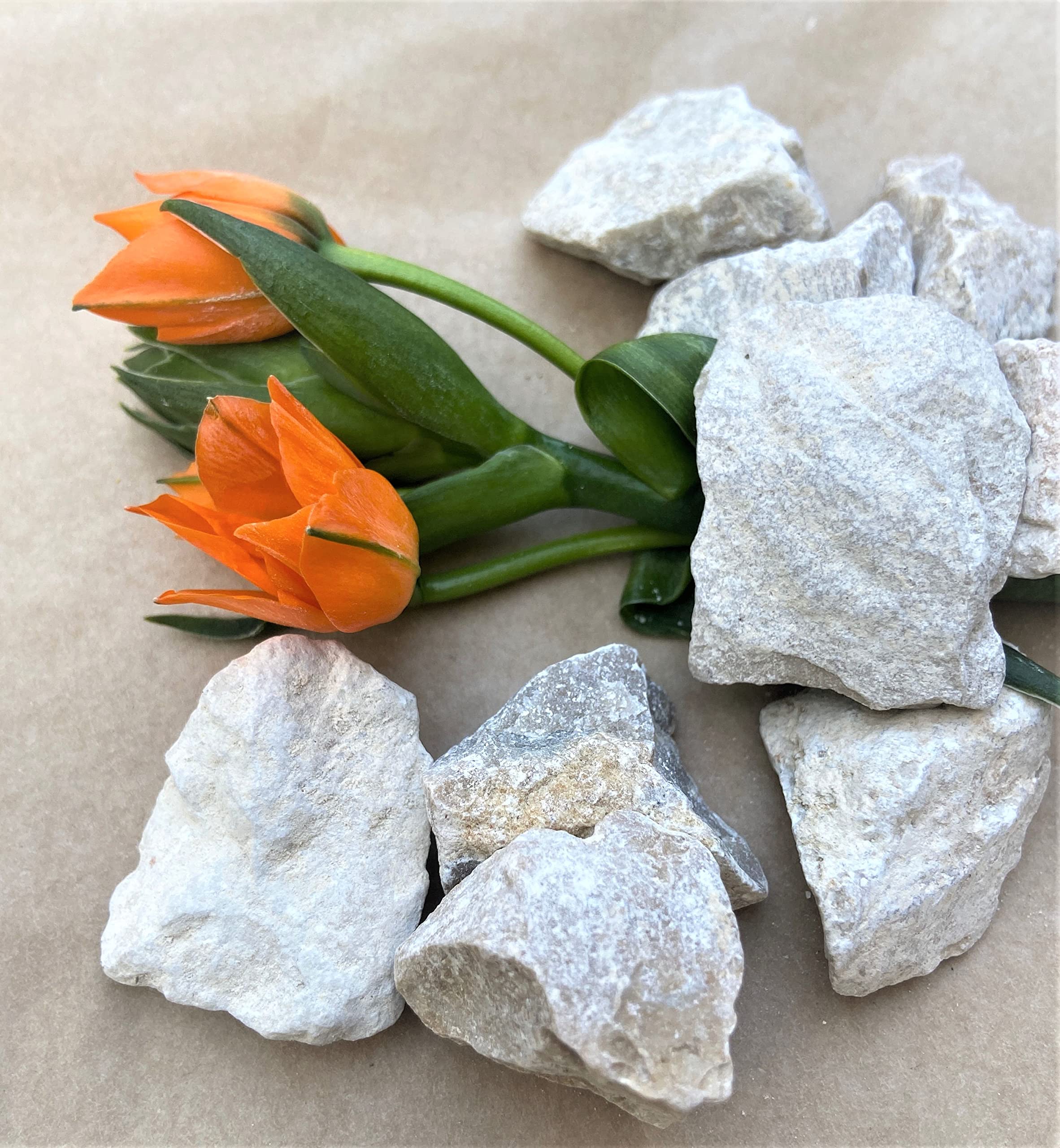 Sacred Raw Gems from Jerusalem - 10 Natural Small Rocks for Jewish Memorials, Graves, Funerals, and Traditional Ceremonials