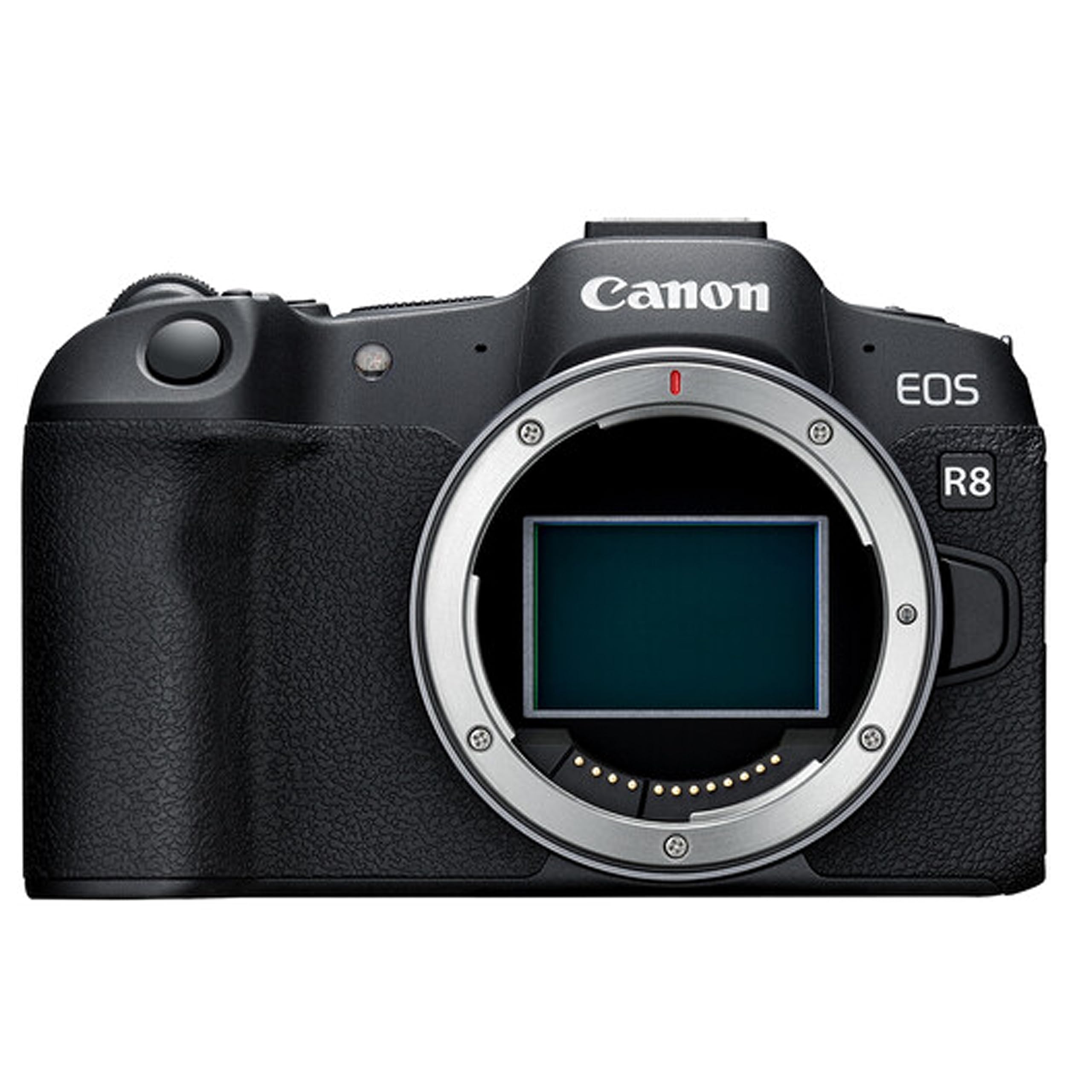 Canon EOS R8 Mirrorless Camera Body + 128GB Pro Speed Memory + Case + Tripod + Software Pack -Proffesional Bundle