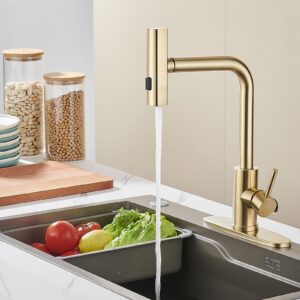 AVSIILE Kitchen Faucet with Pull Down Sprayer, Brushed Gold Waterfall Touch Single Hole Handle Stainless Steel Kitchen Sink Faucets, Commercial Modern Faucets for Kitchen Sinks with Pull-Down Sprayer