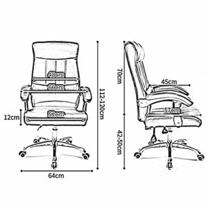 RILOOP Premium Ergonomic Desk Chair and Computer Chair with Reclining Function, Footrest, Arms and Wheels - Ideal for Home Office - Comfortable Multifunctional Office Chair/Black