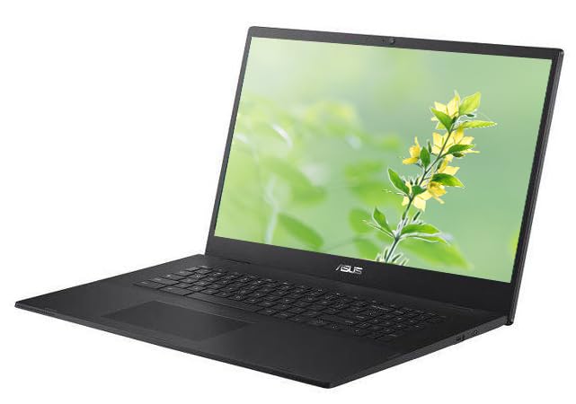 Asus 2024 17" FHD IPS Chromebook, Intel Celeron Processor Up to 2.80GHz, 4GB Ram, 128GB Storage, Super-Fast WiFi, Full Size Keyboard, Chrome OS, Dale Black(Renewed)