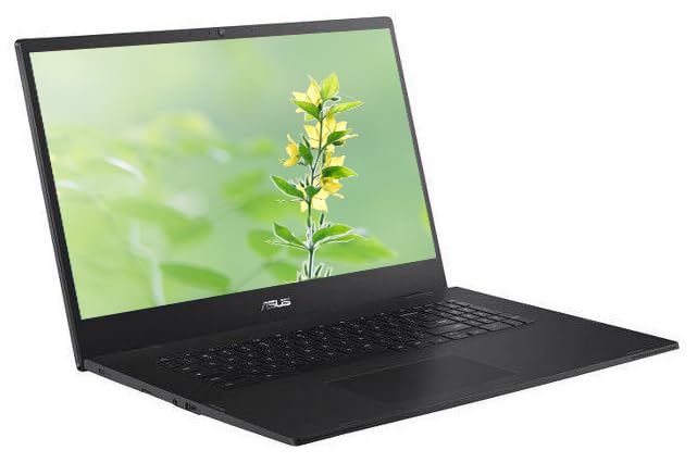 Asus 2024 17" FHD IPS Chromebook, Intel Celeron Processor Up to 2.80GHz, 4GB Ram, 128GB Storage, Super-Fast WiFi, Full Size Keyboard, Chrome OS, Dale Black(Renewed)