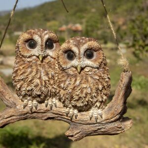 Hi-Line Gift Hanging Baby OWLETS ON A Branch, Brown