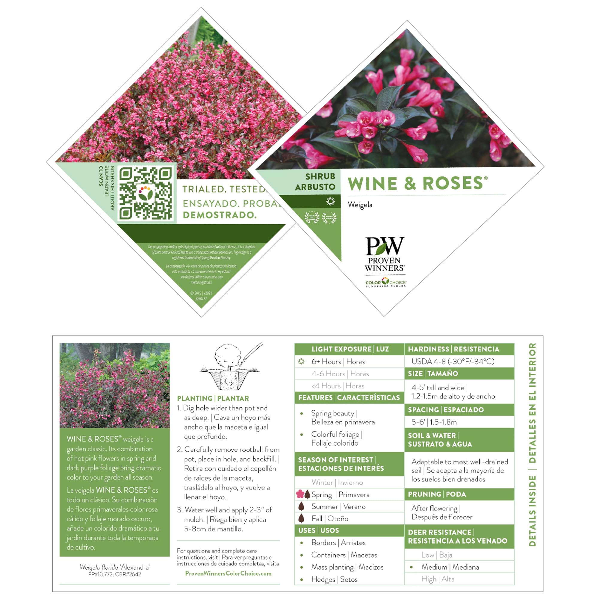 2 Gallon Proven Winners Weigela Wine & Roses Shrub