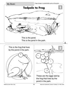 tadpole to frog (life sciencelife cycle frogs)