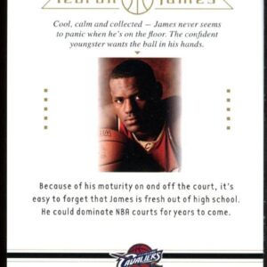 2003 Upper Deck #20 Wise Beyond his Years Lebron James Cavaliers NBA Rookie Card - Ships in a brand new Holder