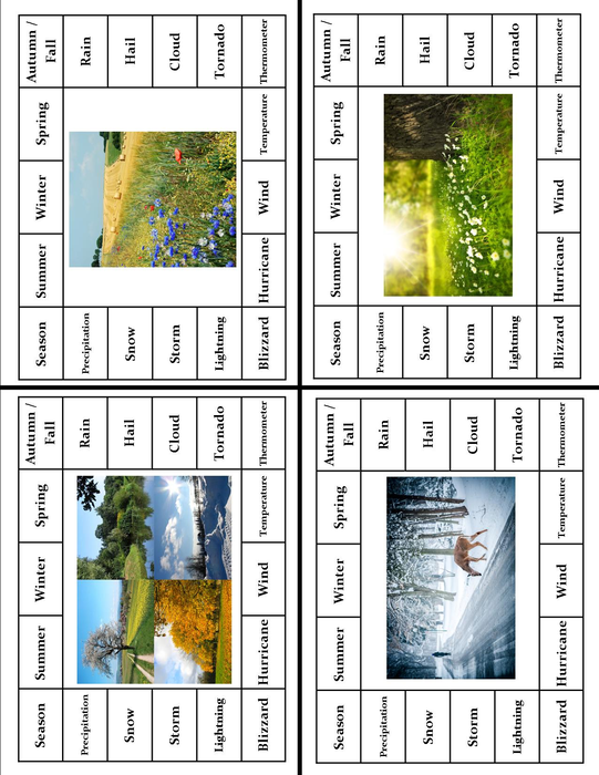 Weather Vocabulary Clip Cards