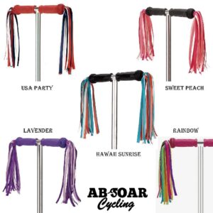 ABSOAR Cycling Colorful Bike Streamer Girls Boys Kids Bicycle Tassel Ribbon Handlebar Scooter Streamers 2 Pairs, Rainbow