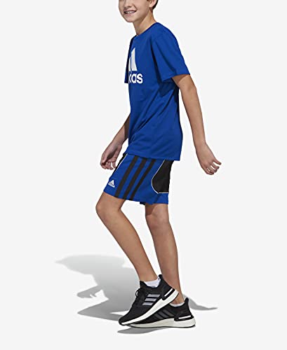 adidas Boys' AEROREADY Basketball Creator Shorts, Black with Team Royal Blue, Small (8)