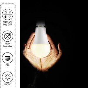 LABORATE LIGHTING Rechargeable LED Light Bulbs with Battery Backup, Emergency LED Bulb, Pack of 6, LED 60 Watt Bulb