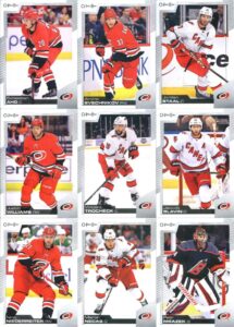 2020-21 o-pee-chee carolina hurricanes team set of 19 cards: sebastian aho(#69), andrei svechnikov(#117), jordan staal(#139), justin williams(#151), vincent trocheck(#195), jake gardiner(#230), dougie hamilton(#232), james reimer(#246), brett pesce(#251),