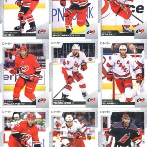 2020-21 O-Pee-Chee Carolina Hurricanes Team Set of 19 Cards: Sebastian Aho(#69), Andrei Svechnikov(#117), Jordan Staal(#139), Justin Williams(#151), Vincent Trocheck(#195), Jake Gardiner(#230), Dougie Hamilton(#232), James Reimer(#246), Brett Pesce(#251),