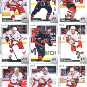 2020-21 O-Pee-Chee Carolina Hurricanes Team Set of 19 Cards: Sebastian Aho(#69), Andrei Svechnikov(#117), Jordan Staal(#139), Justin Williams(#151), Vincent Trocheck(#195), Jake Gardiner(#230), Dougie Hamilton(#232), James Reimer(#246), Brett Pesce(#251),