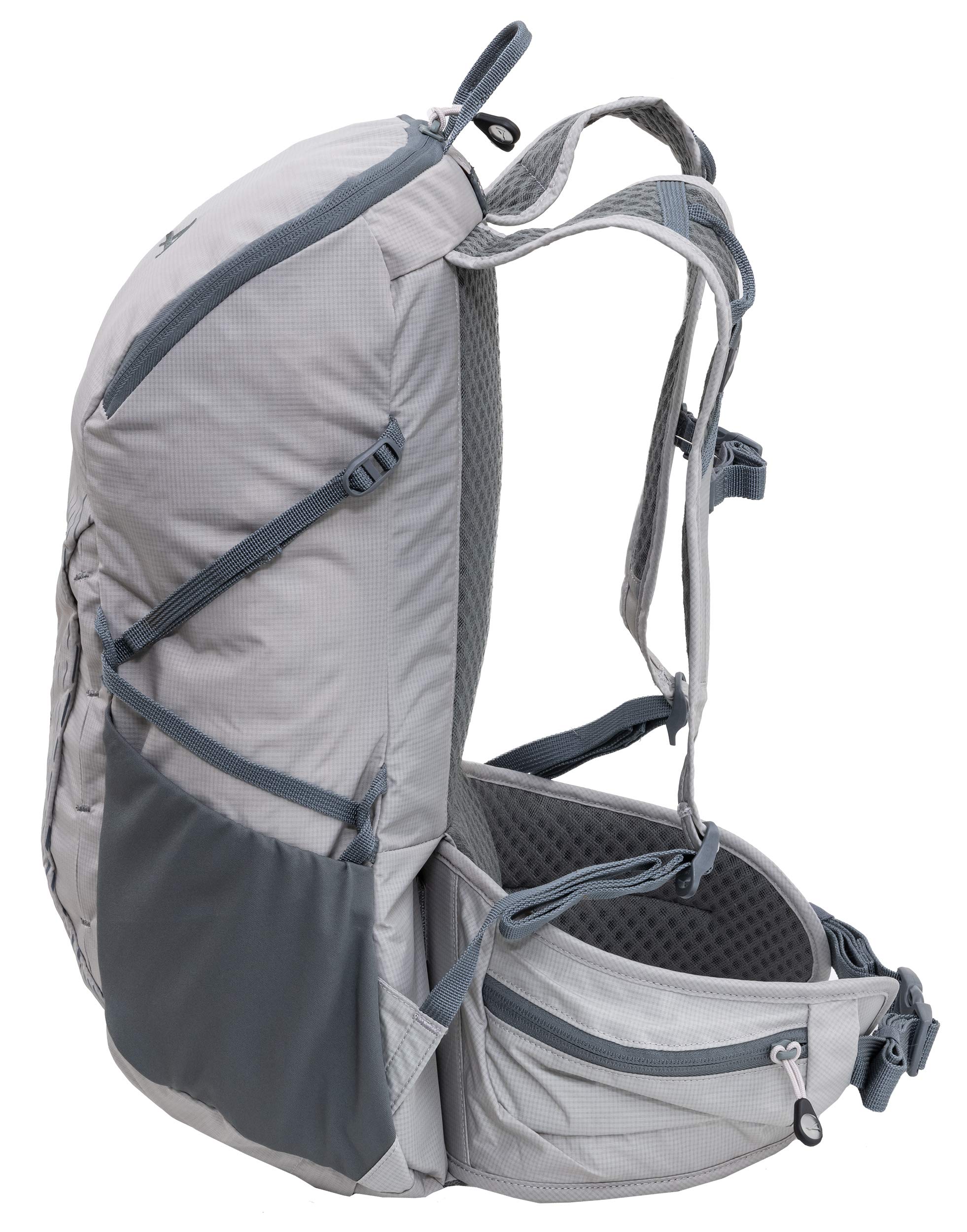 ALPS Mountaineering Canyon 20L, Gray/Gray, 20 Liters