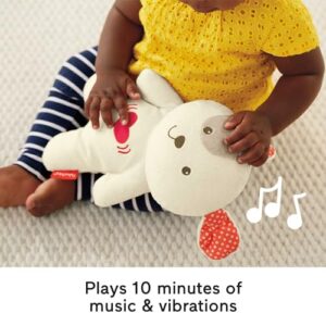 Fisher-Price Baby Portable Sound Machine Calming Vibrations Cuddle Soother Plush Dog Infant Toy with Music for Newborns