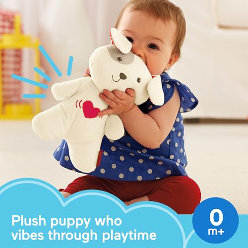 Fisher-Price Baby Portable Sound Machine Calming Vibrations Cuddle Soother Plush Dog Infant Toy with Music for Newborns