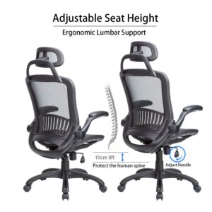 HCB Office Chair Desk Chair High Back Mesh Chair Ergonomic Computer Chairs with Adjustable Headrest Flip Up Arms Backrest Lumbar Support 360 Degree Rolling Swivel for Adults Men and Women (Black)