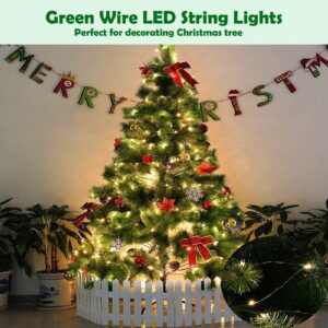 XUNXMAS Outdoor Indoor String Lights Christmas 300LED Warm White Fairy Lights 99ft Green Wire Dimmable with Remote Control, Waterproof Fairy Light for DIY Christmas Tree Bedroom Patio Party Decor