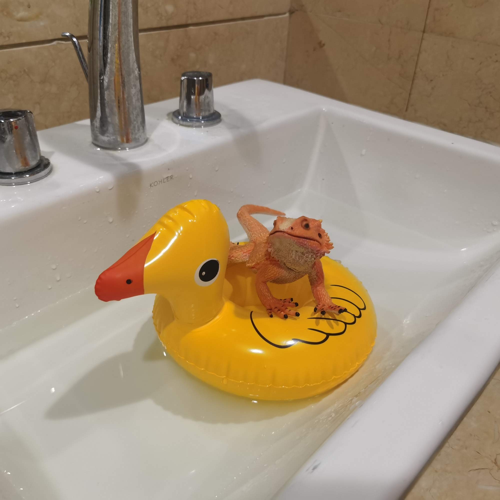 YUYUSO 6 Pack Bearded Dragon Lizard Bathe Float Bathtub Toy Enjoy The Bath Time with Bearded Dragon