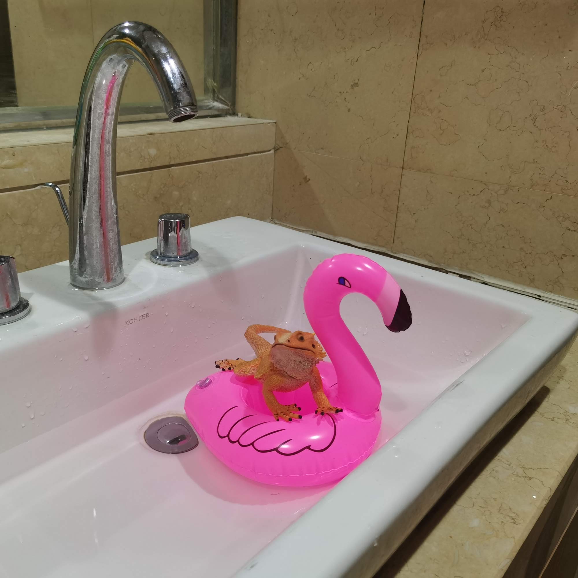 YUYUSO 6 Pack Bearded Dragon Lizard Bathe Float Bathtub Toy Enjoy The Bath Time with Bearded Dragon