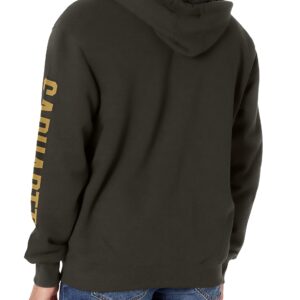 Carhartt Men's Rain Defender Original Fit Fleece Lined Logo Graphic Sweatshirt, Peat, Medium