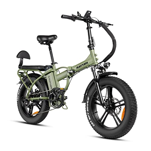 Rattan 750W Foldable Electric Bikes 48V 13AH Removable Battery 20" x 4.0 Fat Tire Ebike 2 Seater Electric Bike for Adults