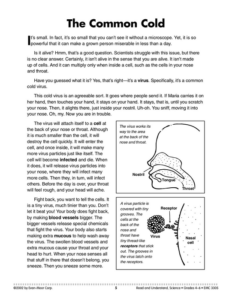 the common cold (life science/health, virus attacks)