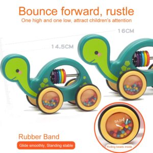 Toddler Push & Pull Toys, Pull-Along Baby Toy with Rubber Rimmed Wheels for Easy Push and Pull Action, Family Early Learning and Motor Skills Toy, Best Birthday Gifts for Pre-Kindergarten(Tortoise)