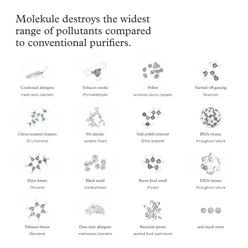 Molekule Air Pro -PECO Filter