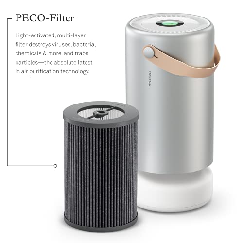 Molekule Air Pro -PECO Filter