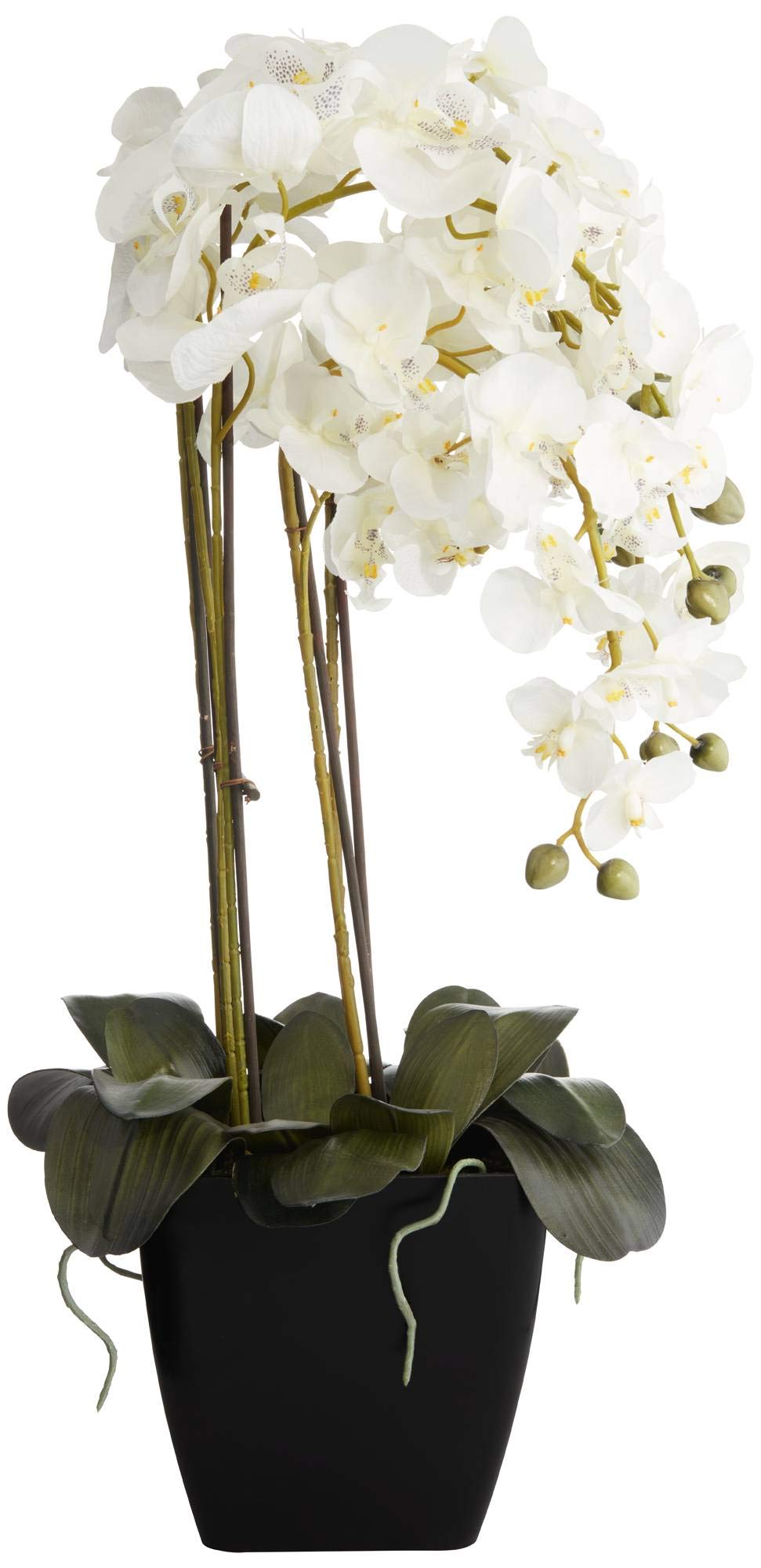 Dahlia Studios Potted Faux Artificial Flowers Arrangements Realistic White Phalaenopsis Orchid in Black Pot Home Decoration Living Room Office Bedroom Bathroom Kitchen Dining Room 25 1/2" High