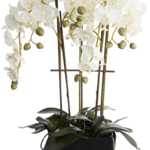 Dahlia Studios Potted Faux Artificial Flowers Arrangements Realistic White Phalaenopsis Orchid in Black Pot Home Decoration Living Room Office Bedroom Bathroom Kitchen Dining Room 25 1/2" High