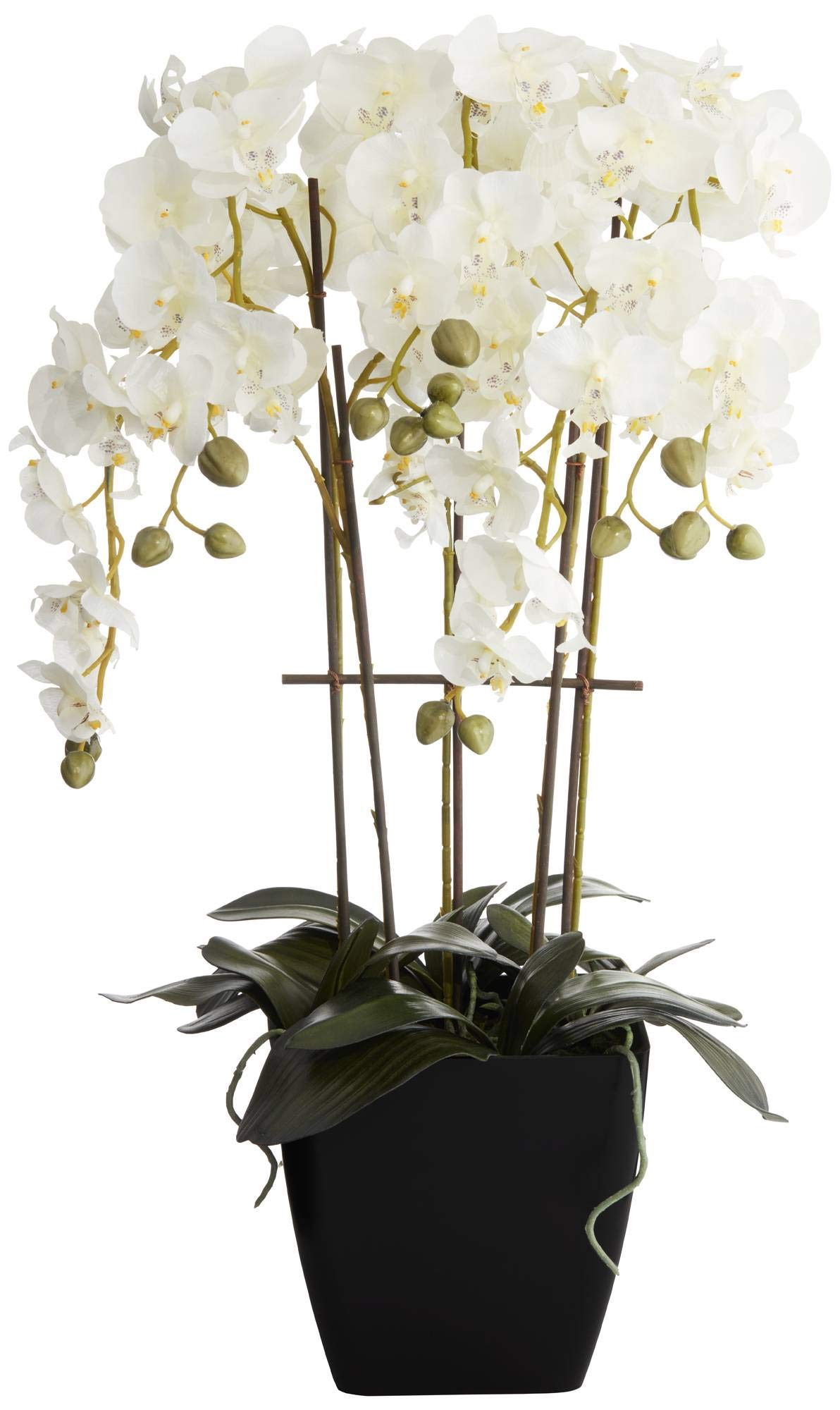 Dahlia Studios Potted Faux Artificial Flowers Arrangements Realistic White Phalaenopsis Orchid in Black Pot Home Decoration Living Room Office Bedroom Bathroom Kitchen Dining Room 25 1/2" High