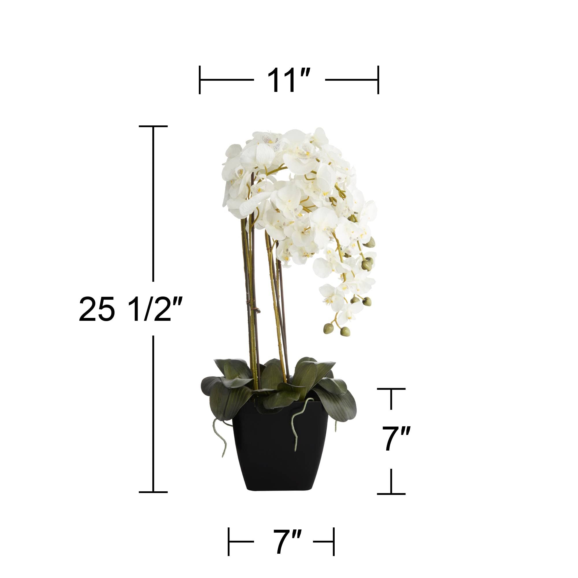 Dahlia Studios Potted Faux Artificial Flowers Arrangements Realistic White Phalaenopsis Orchid in Black Pot Home Decoration Living Room Office Bedroom Bathroom Kitchen Dining Room 25 1/2" High