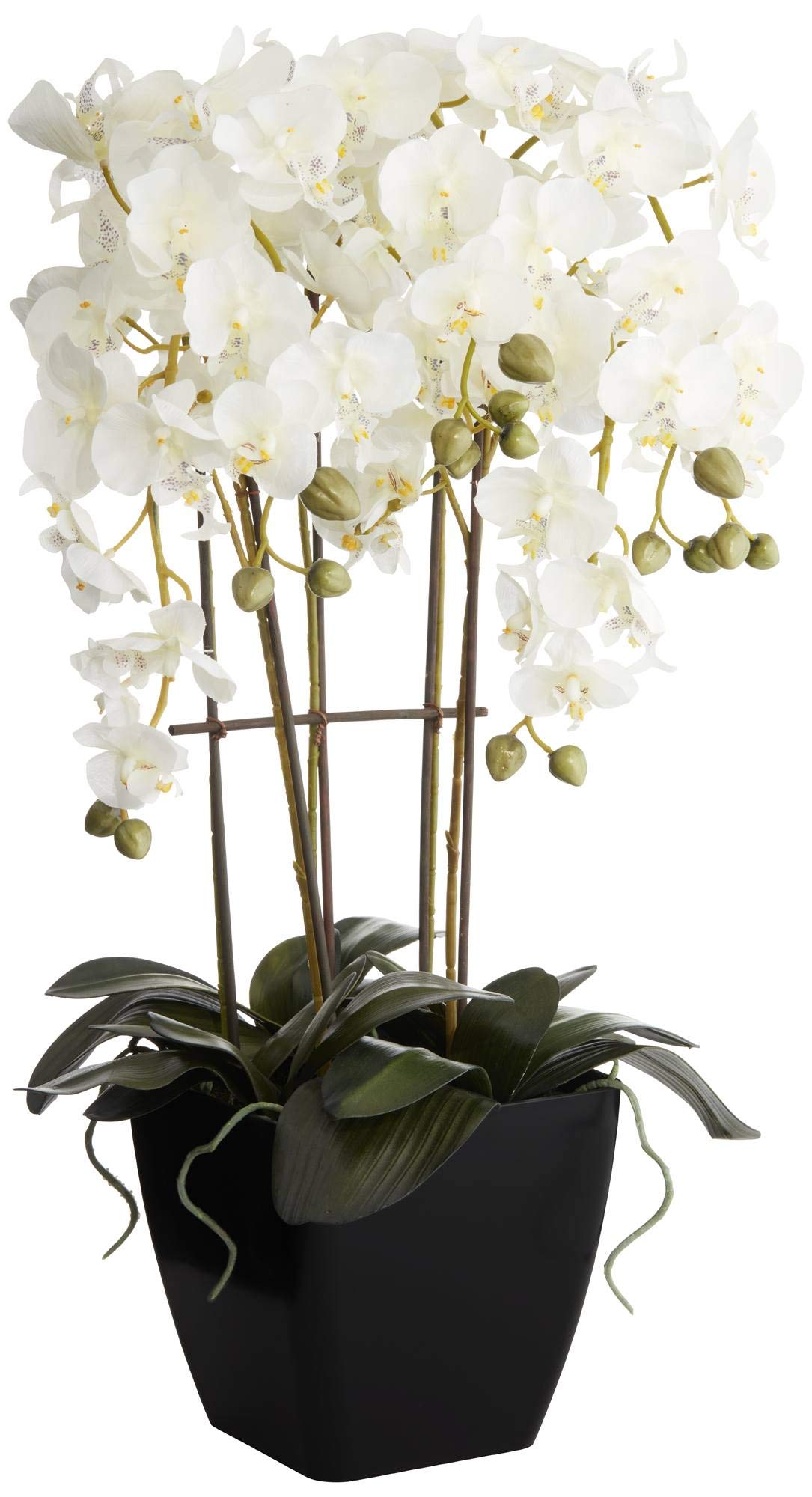 Dahlia Studios Potted Faux Artificial Flowers Arrangements Realistic White Phalaenopsis Orchid in Black Pot Home Decoration Living Room Office Bedroom Bathroom Kitchen Dining Room 25 1/2" High