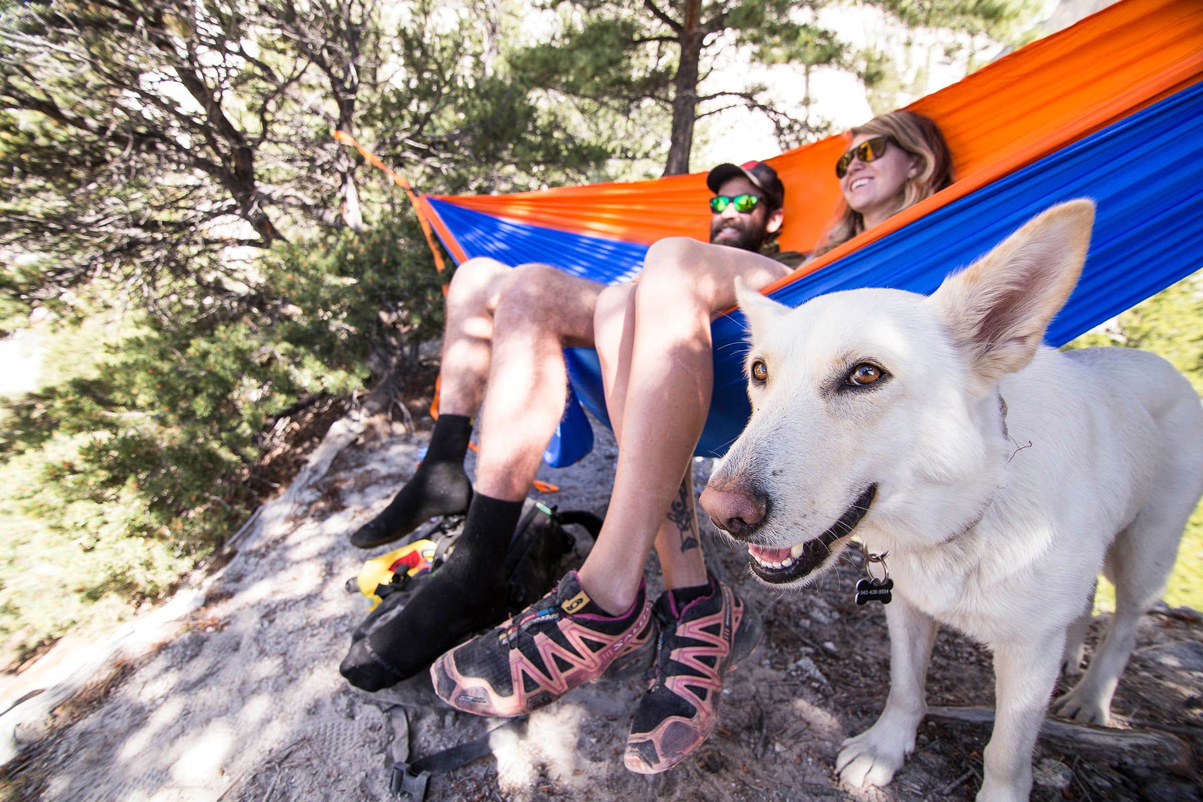 GRAND TRUNK Double Deluxe Hammock with Hanging Straps and Carabiners - Made from Parachute Nylon Fabric and Holds Two Peoople or 400lbs (Olive Green/Khaki)