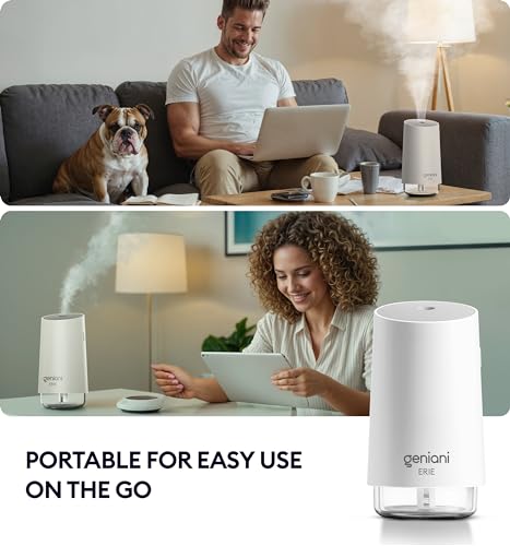 GENIANI Portable Small Cool Mist Humidifiers 250ML - USB Desktop Humidifier for Plants, Office, Car, Baby Room with Auto Shut Off & Night Light - Quiet Mini Humidifier (White)