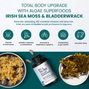 HAPPY FOX Irish Sea Moss Capsules & Mushroom Complex Wildcrafted Sea Moss, Adaptogens, Brain Health Supplements for Adults - Seamoss Pills, Organic Mushrooms Supplement - 1500mg, 90 Vegan Caps