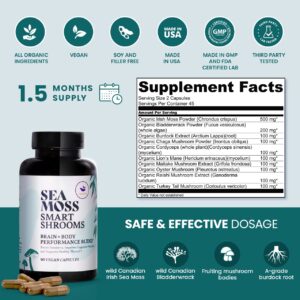 HAPPY FOX Irish Sea Moss Capsules & Mushroom Complex Wildcrafted Sea Moss, Adaptogens, Brain Health Supplements for Adults - Seamoss Pills, Organic Mushrooms Supplement - 1500mg, 90 Vegan Caps