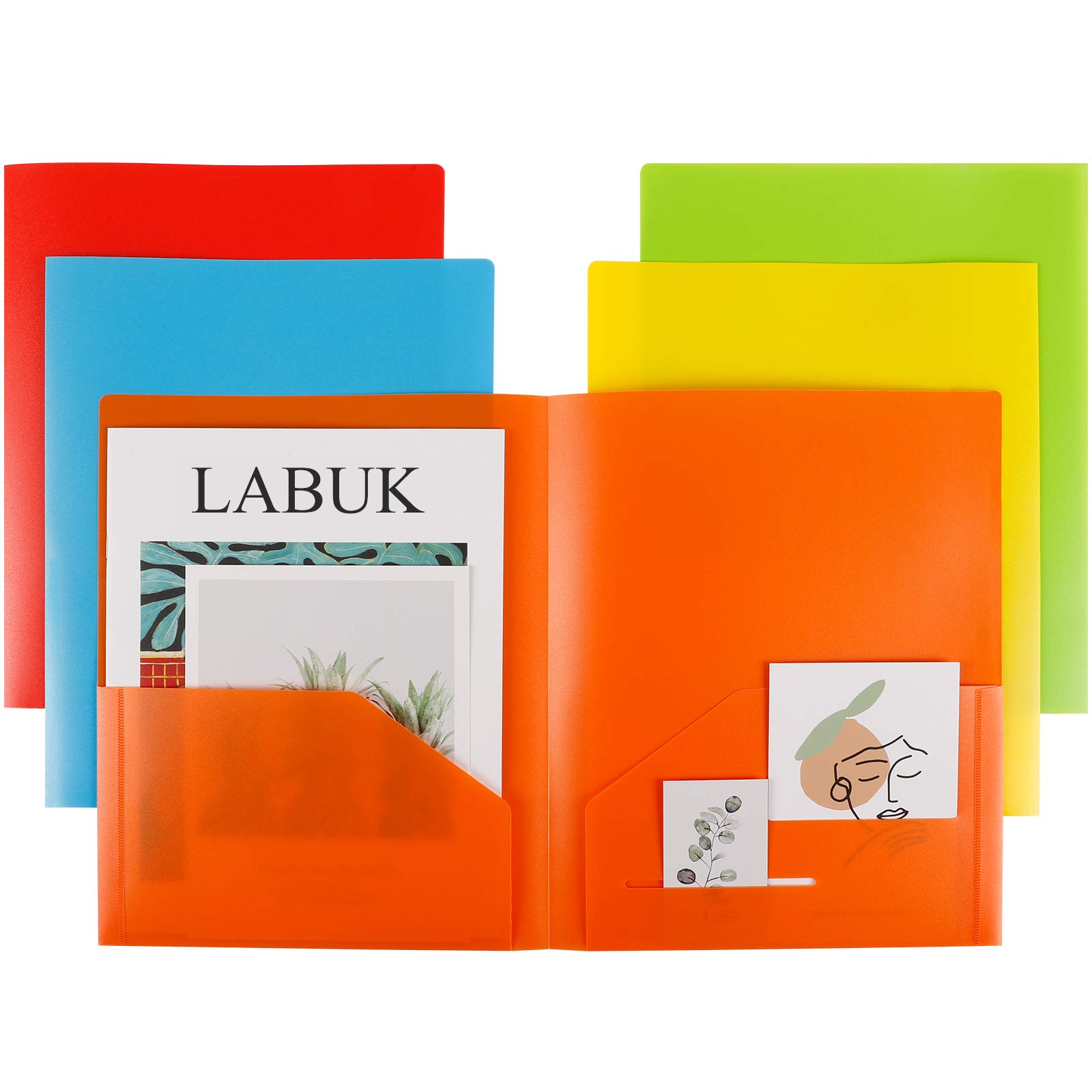 LABUK 5 Pack Plastic Pocket Folder Heavy Duty Folders with Pockets Fit A4 Letter Size Paper for School Office(5 Color)