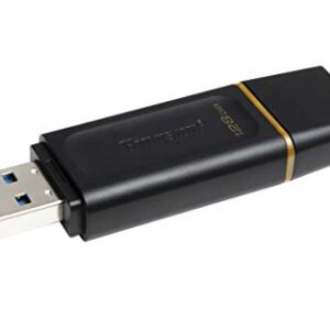 Kingston DataTraveler Exodia 128GB USB 3.2 Flash Drive DTX/128GB,Black